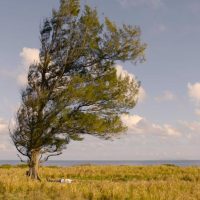 Sam Simonds – Using film to understand the possibilities of home.